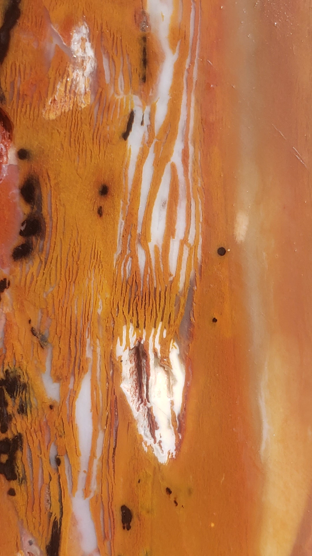 Howardite Slab HRJRF4H - Etsy