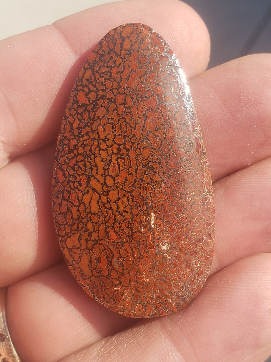 Petrified Dinosaur Bone Cabochon PDBC1A - Etsy