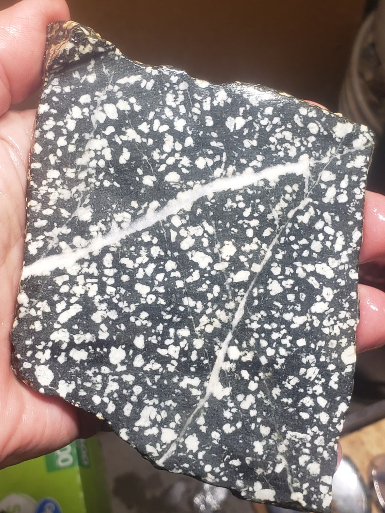 Sierra Snowflake Porphyry Slab SSPS2J - Etsy