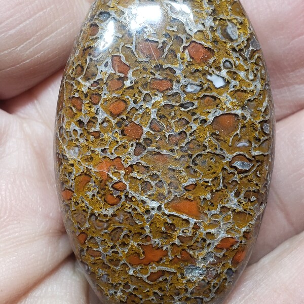 Large Bone Beads - Etsy