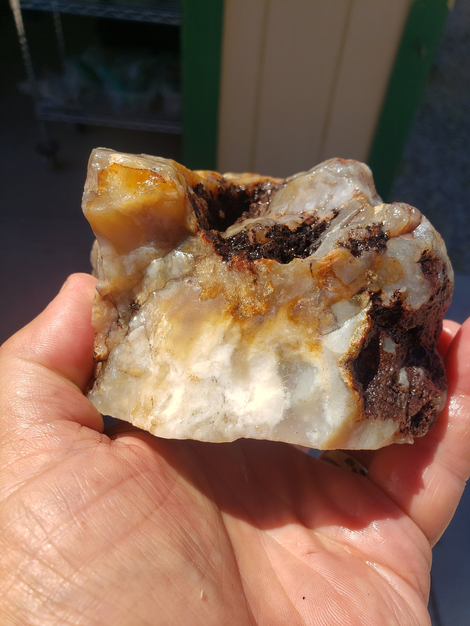 Kramer Hills Bog Agate Rough KHBAR1B - Etsy