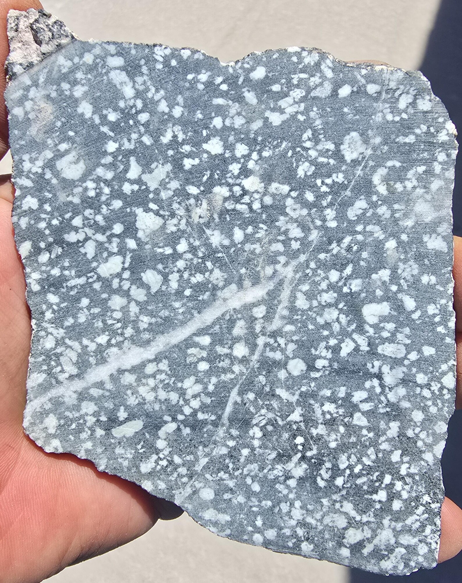 Sierra Snowflake Porphyry Slab SSPS1P - Etsy