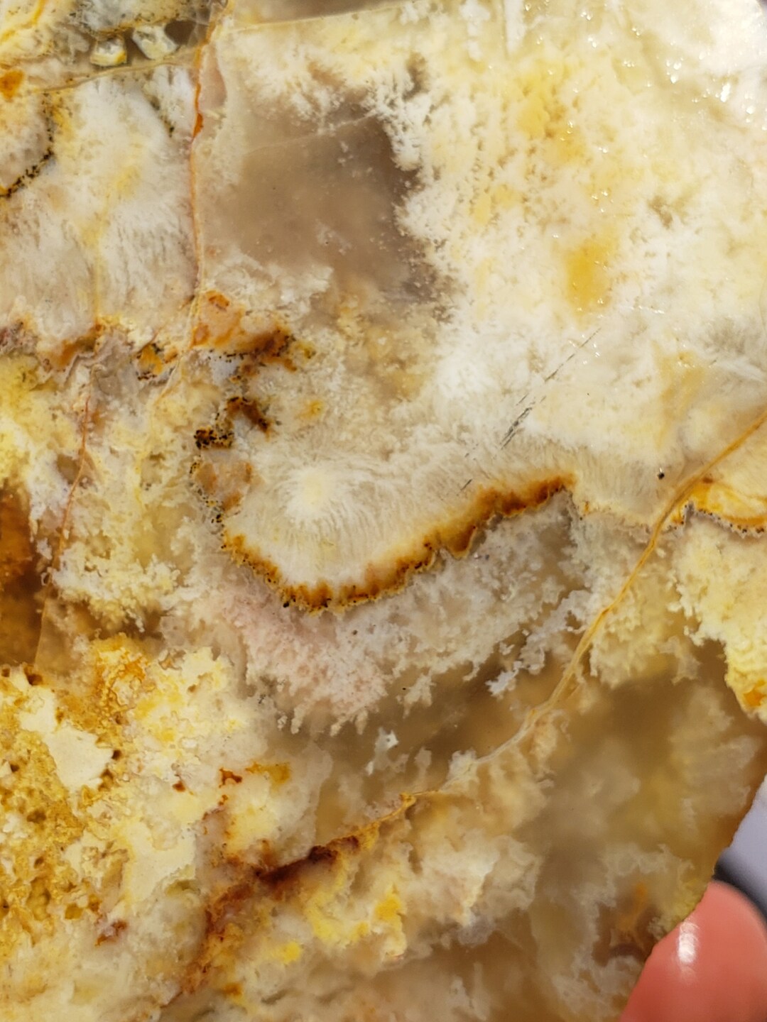 Graveyard Point Plume Agate Rough GPPAR1B - Etsy