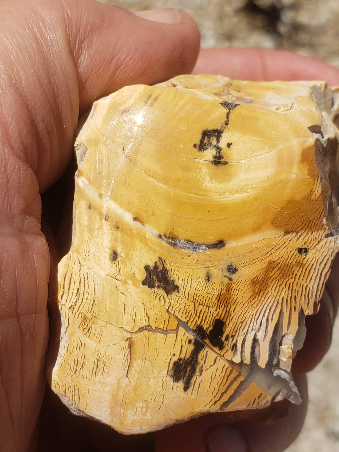 Howardite Polished Specimen HJPS8E - Etsy UK