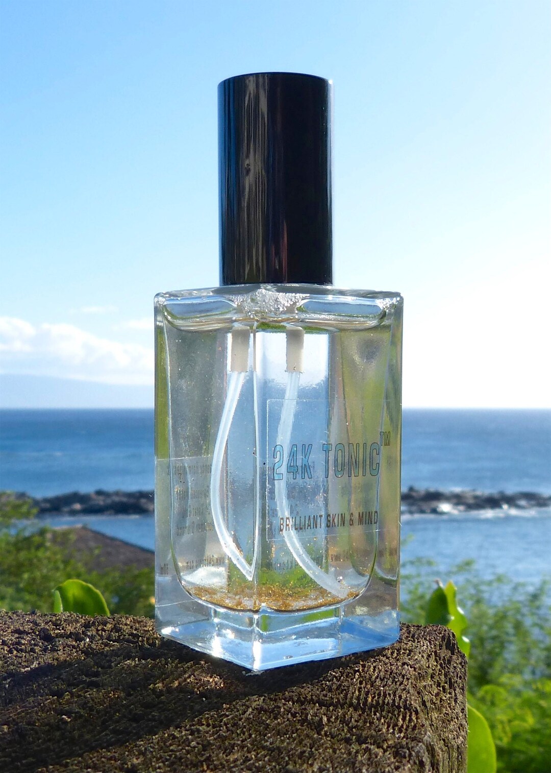 PURIFYING MAUI MIST Refillable Facial & Environment Mist W/ 24k Gold ...