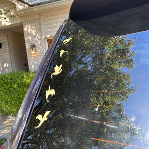 Car Decal, Andarna, Fourth Wing, Tairn, Thingy Thingz, Custom, Bookish ...