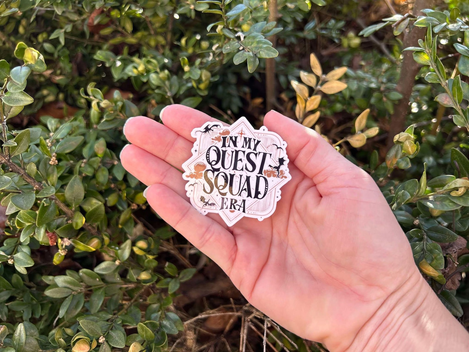 Sticker, Kindle Sticker, Phone Sticker, Onyx Storm, Quest Squad, Funny ...