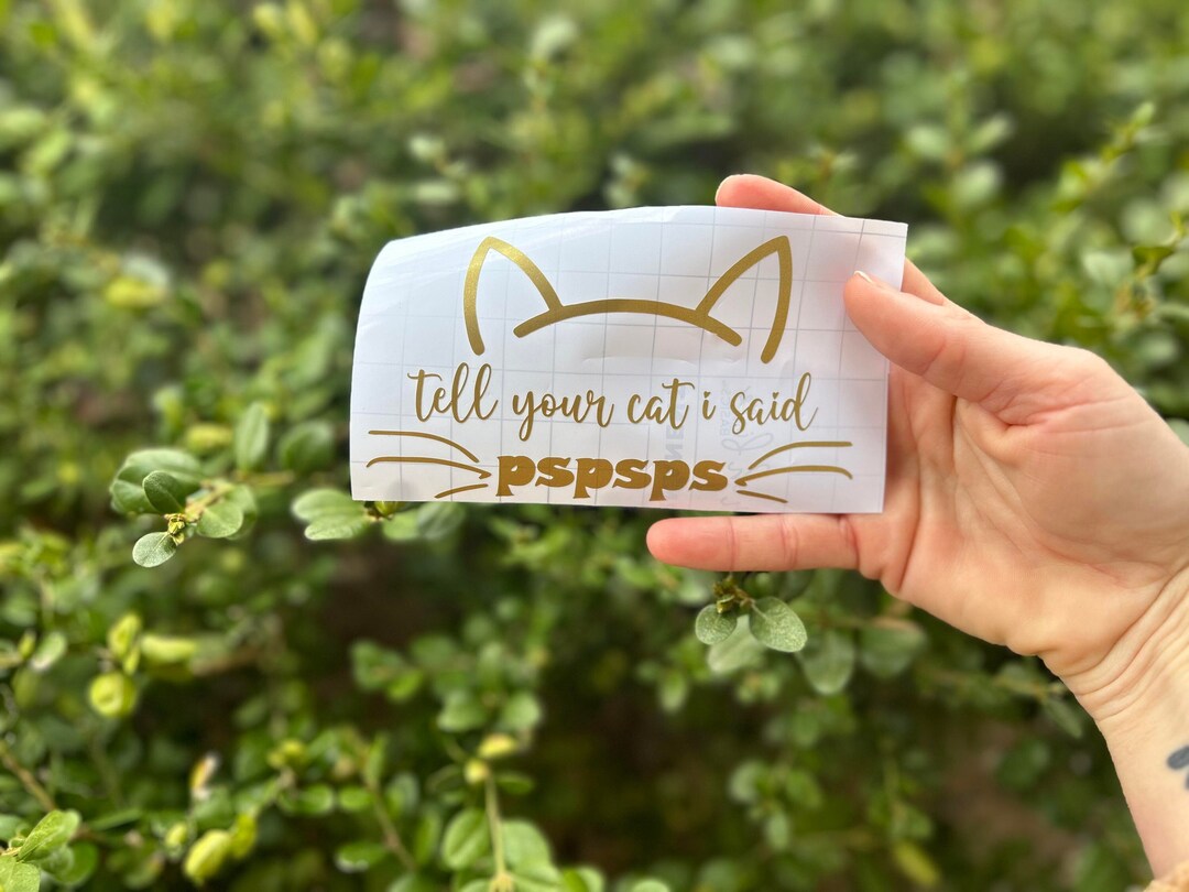 Pitch Black, Car Decal, Custom Sticker, Car Sticker, Funny Decal, Sassy ...