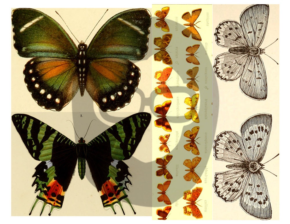 Butterfly Ephemera Pack Printable Ephemera Set 38 30 Page | Etsy
