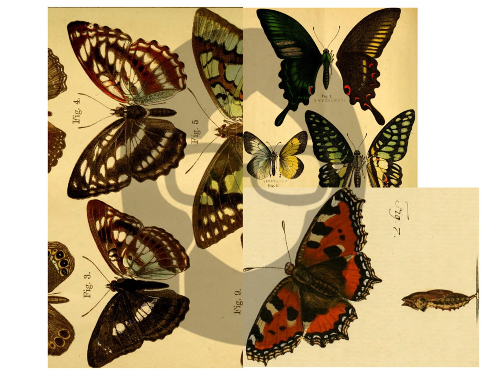 Butterfly Ephemera Pack Printable Ephemera Set 38 30 Page | Etsy