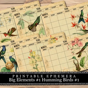 Printable Calendar - Big Elements #1 Hummingbird Calendar #1 - 3 Pg ...