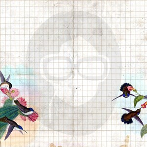 Floral Digital Paper - Hummingbirds Set #2 - 3 Pg Instant Downloads ...