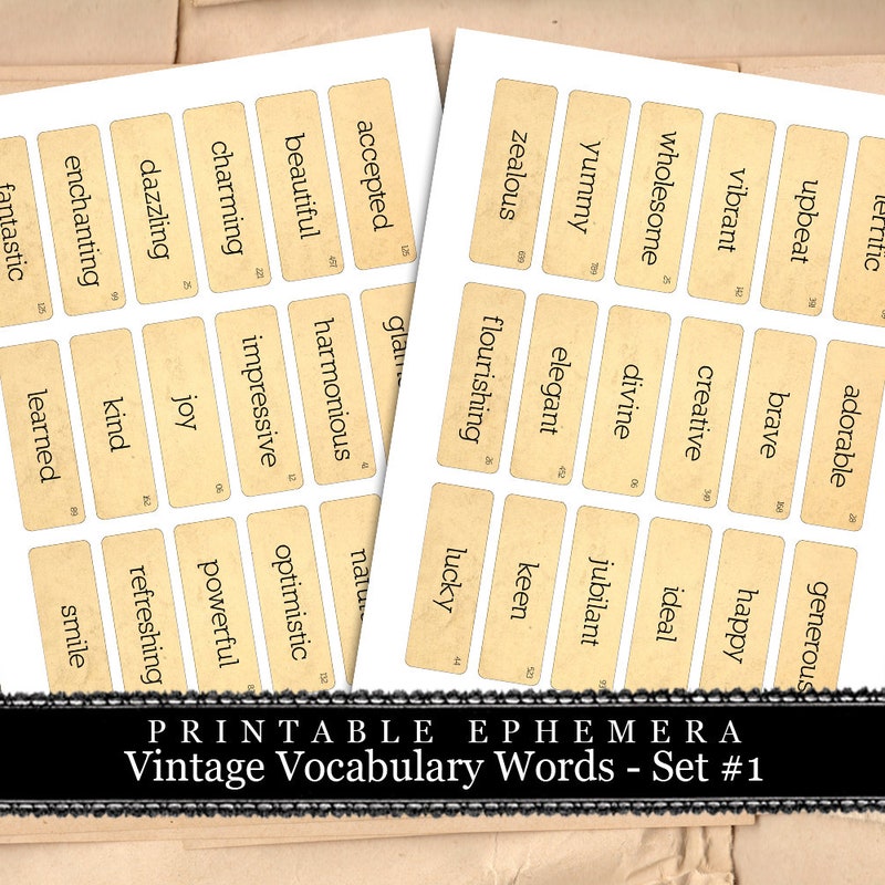 Vocabulary Cards - Etsy
