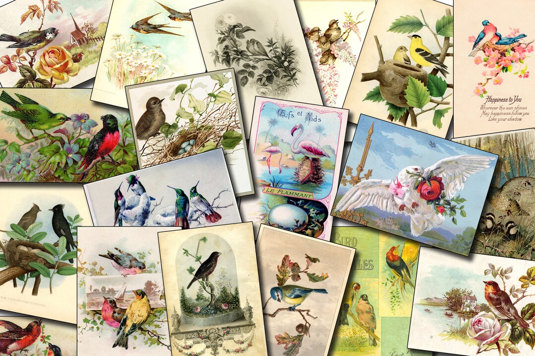 Vintage Bird Printable Ephemera Pack - Set # 51 - 30 Pg Instant ...