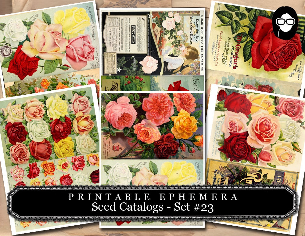 Ephemera Paper Pack Printable Ephemera Set 23 Seed | Etsy