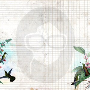 Floral Digital Paper - Hummingbirds Set #2 - 3 Pg Instant Downloads ...