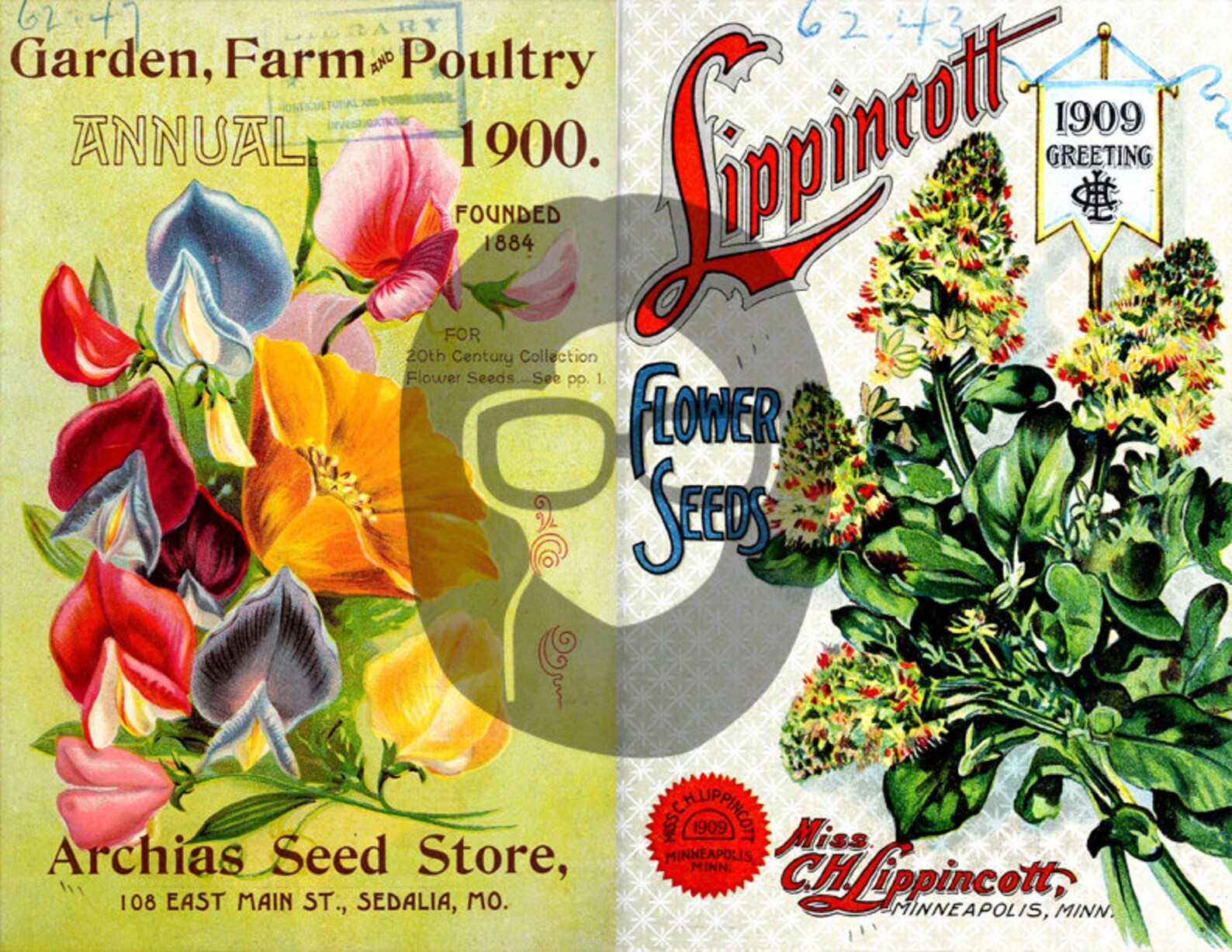 Vintage Seed Catalog Ephemera Printable Paper Pack Set 81 - Etsy