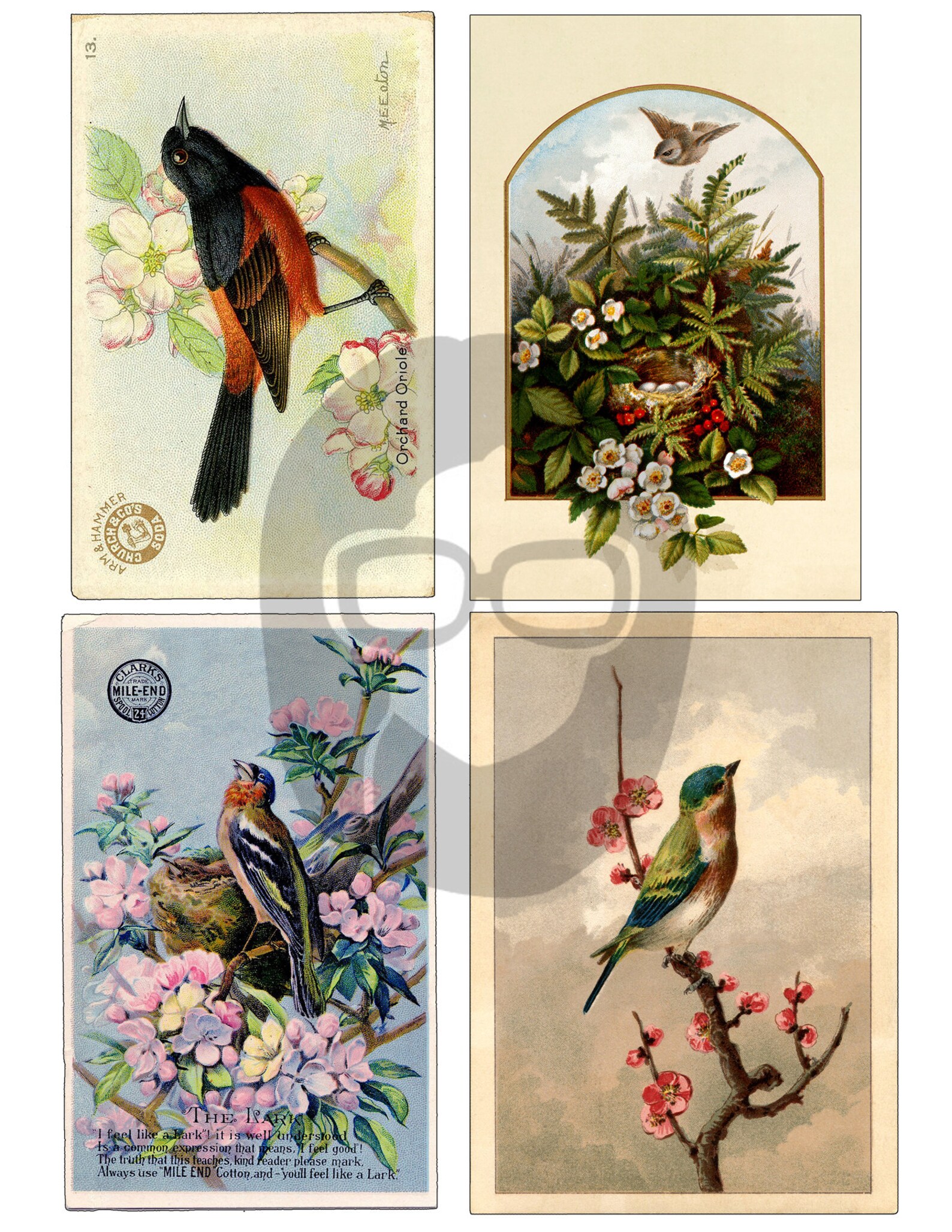 Vintage Bird Printable Ephemera Pack - Set # 51 - 30 Pg Instant ...