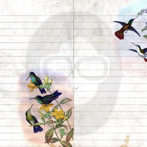 Floral Digital Paper - Hummingbirds Set #2 - 3 Pg Instant Downloads ...