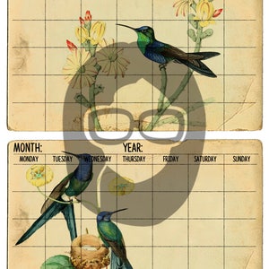Printable Calendar - Big Elements #1 Hummingbird Calendar #1 - 3 Pg ...