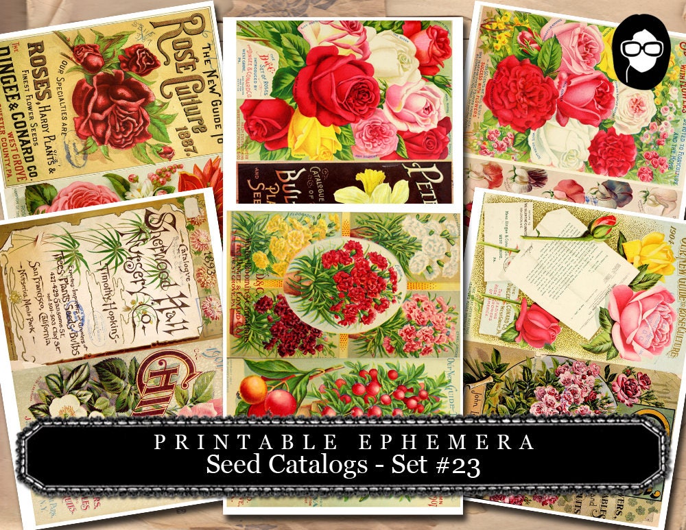 Ephemera Paper Pack Printable Ephemera Set 23 Seed | Etsy