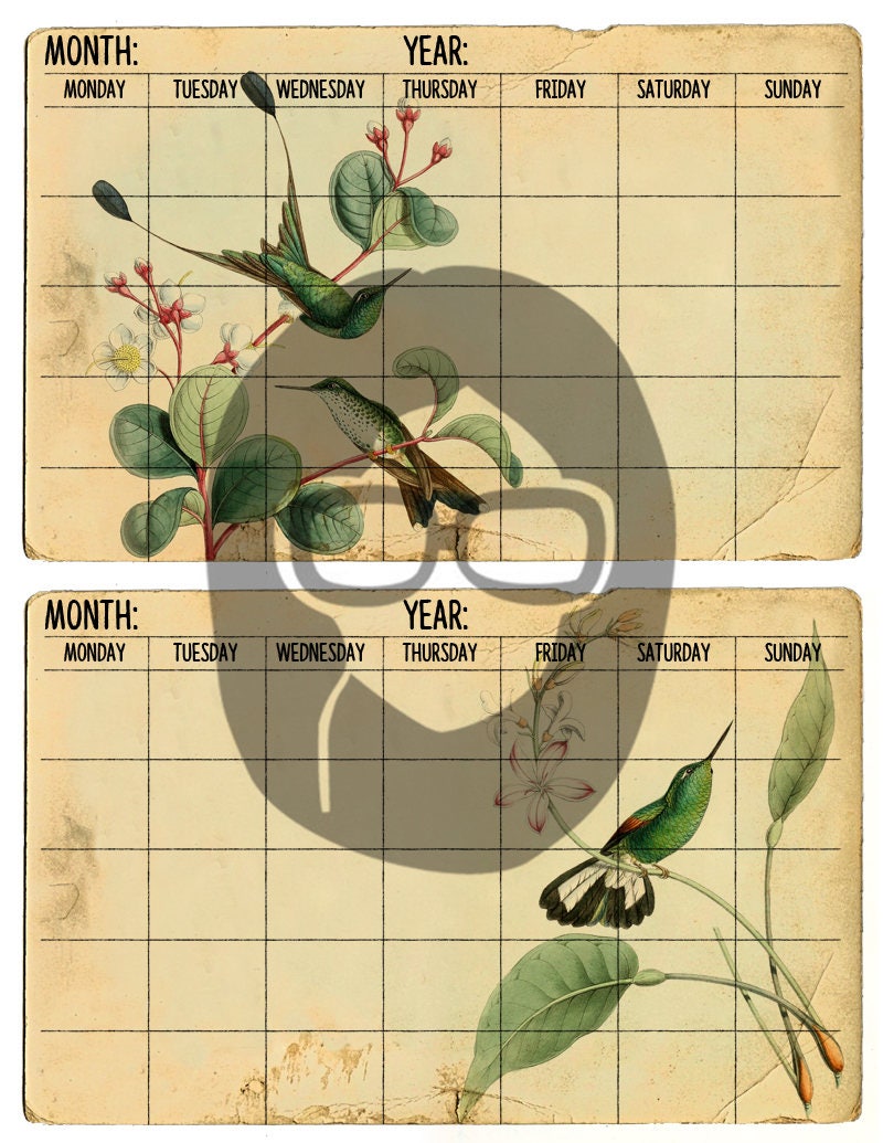 Printable Calendar - Big Elements #1 Hummingbird Calendar #2 - 3 Pg ...