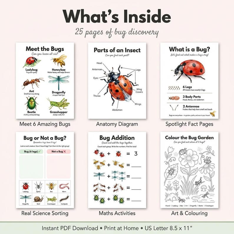 Bug Worksheets for Kids | All About Minibeasts | Ages 4-7 | Insect ...