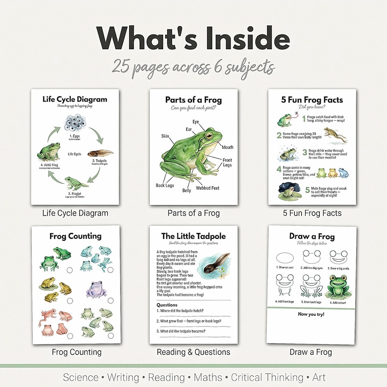Frog Life Cycle Worksheets | Tadpole to Frog | Ages 4-7 | Pond Animals ...