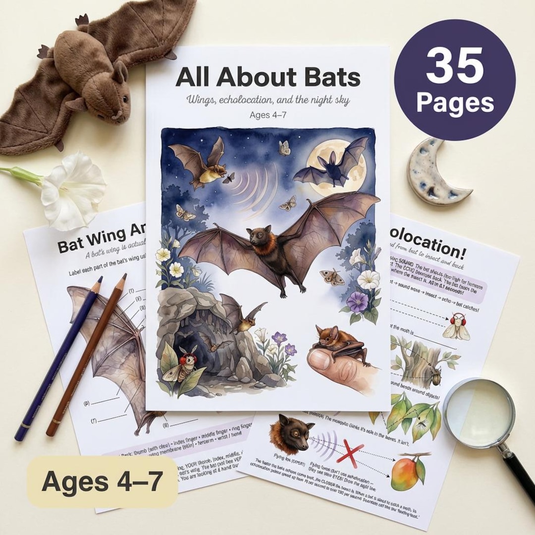 All About Bats Printable Worksheets | Nocturnal Animals, Echolocation ...