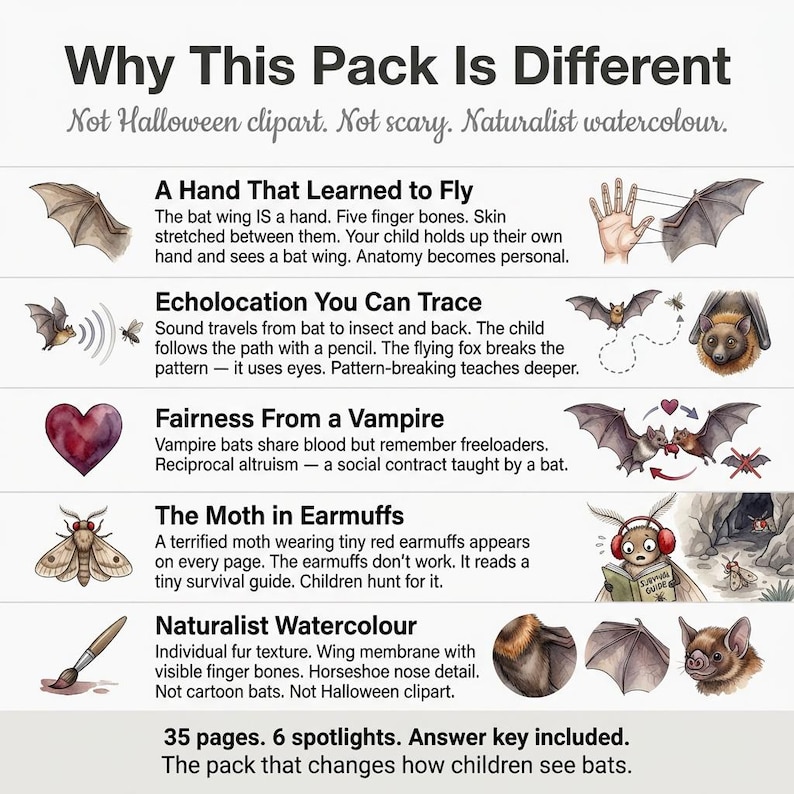 All About Bats Printable Worksheets | Nocturnal Animals, Echolocation ...