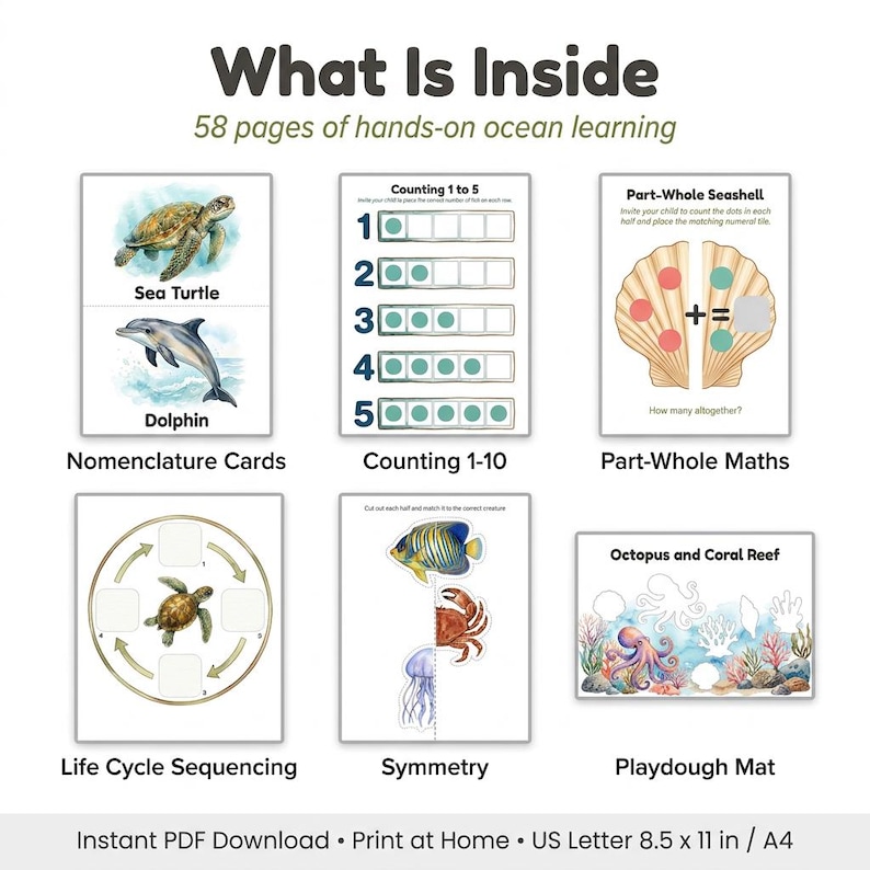 Montessori Ocean Activity Unit | Ages 2-6 | Sea Turtle Life Cycle ...