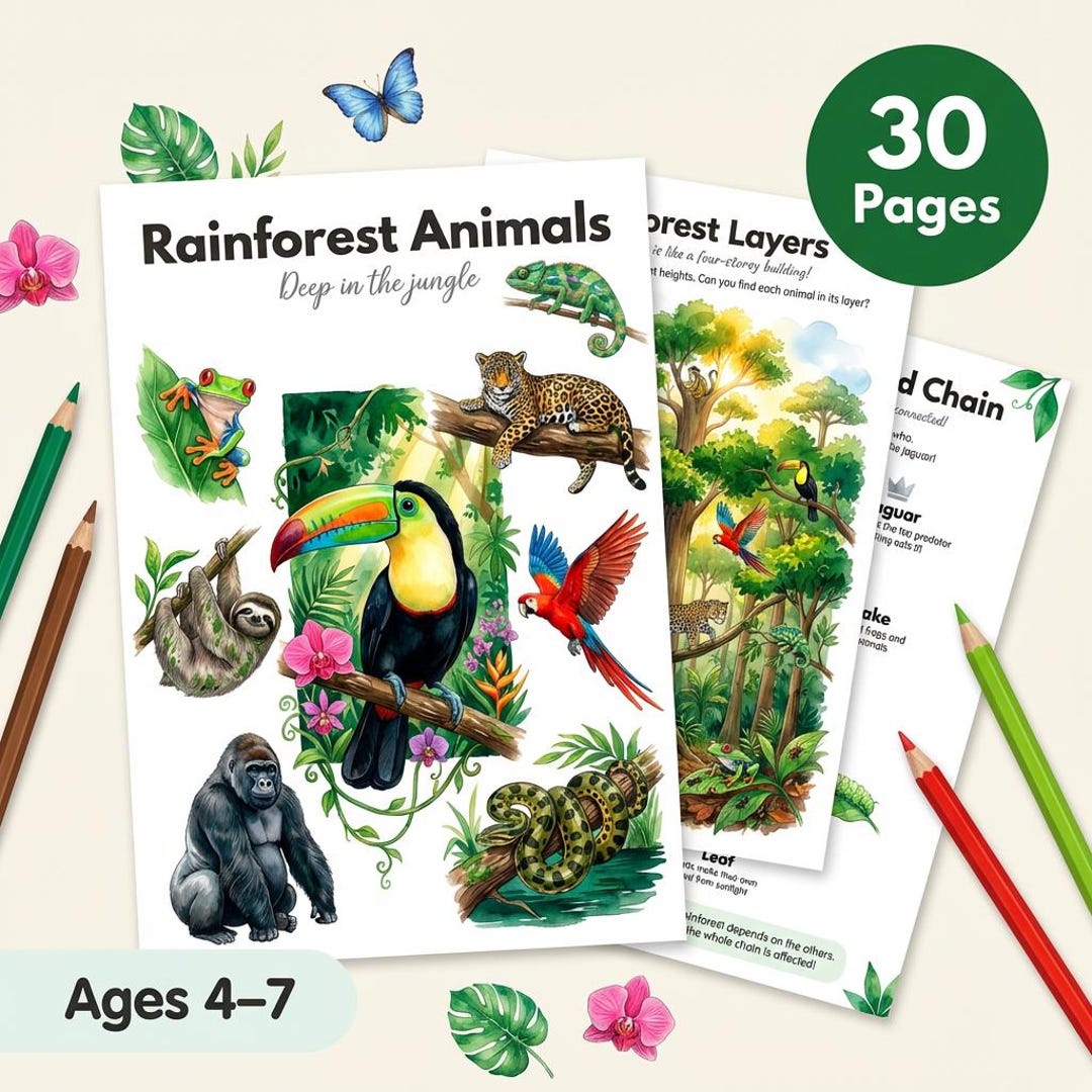 Rainforest Animals Worksheets | Toucan Sloth Jaguar Frog | Ages 4-7 ...