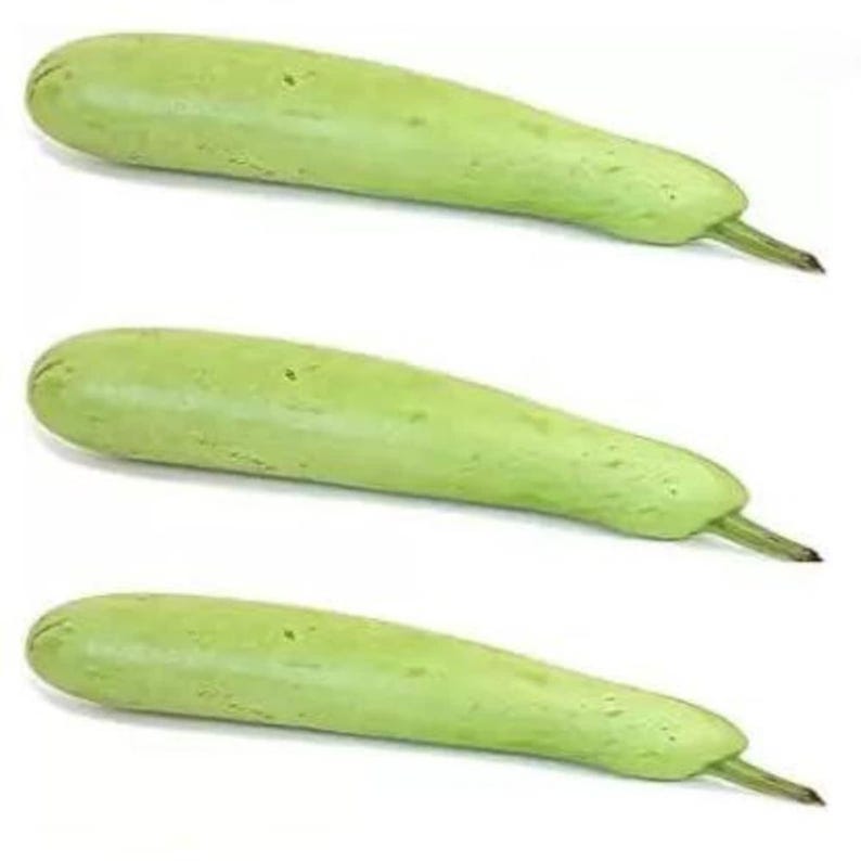 20 Bottle Gourd Seeds for Planting – High Yield Organic Lauki Seeds ...