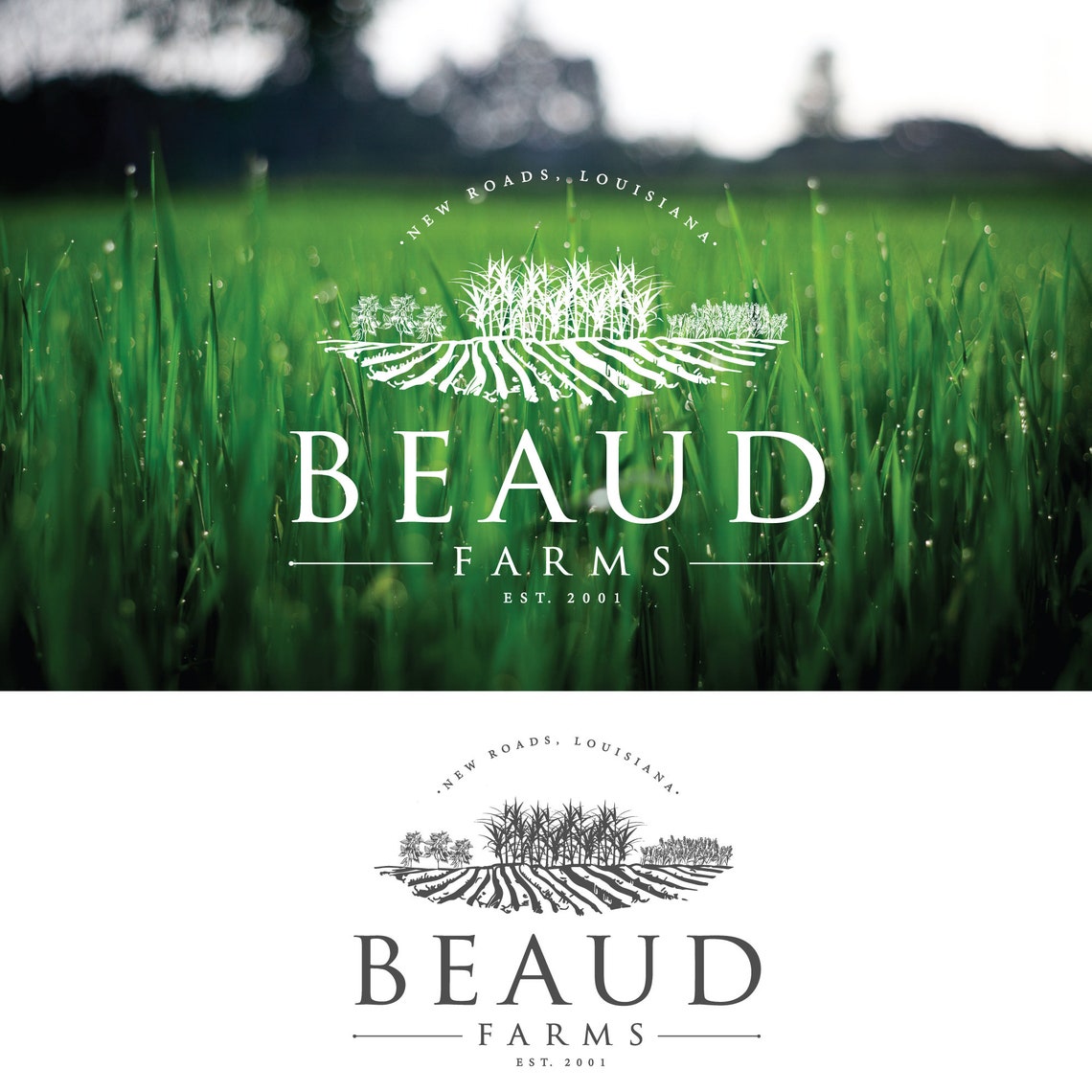 Farm Logo - Premium Branding Package - Custom Logo Design - Barn Logo ...