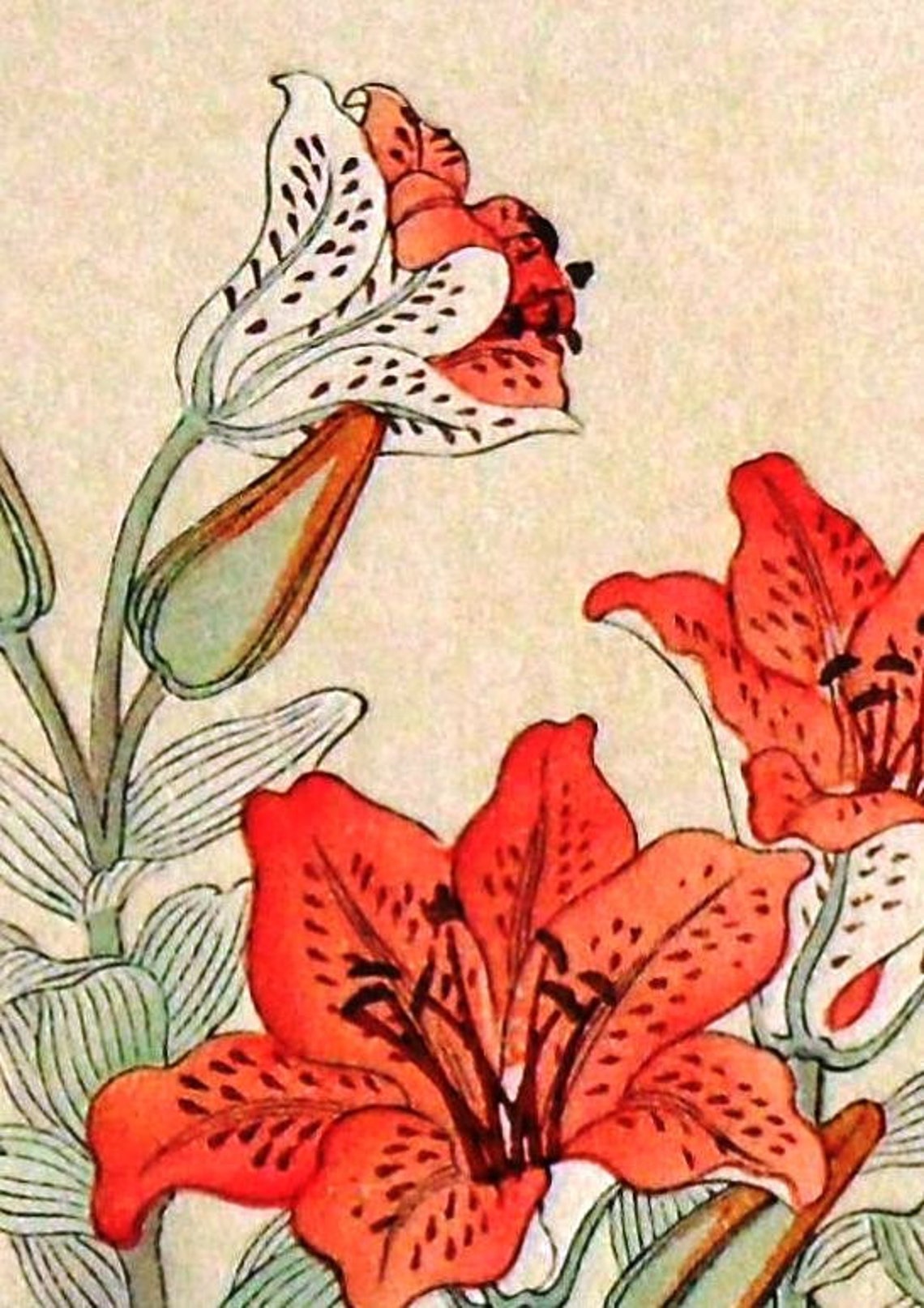 Vintage Japanese Woodblock Print "tiger Lily and Sparrow" C. Meiji ...