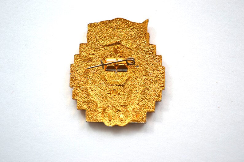 Soviet Union 60 Flags of 15 Republics Soviet Union Metal Pin | Etsy