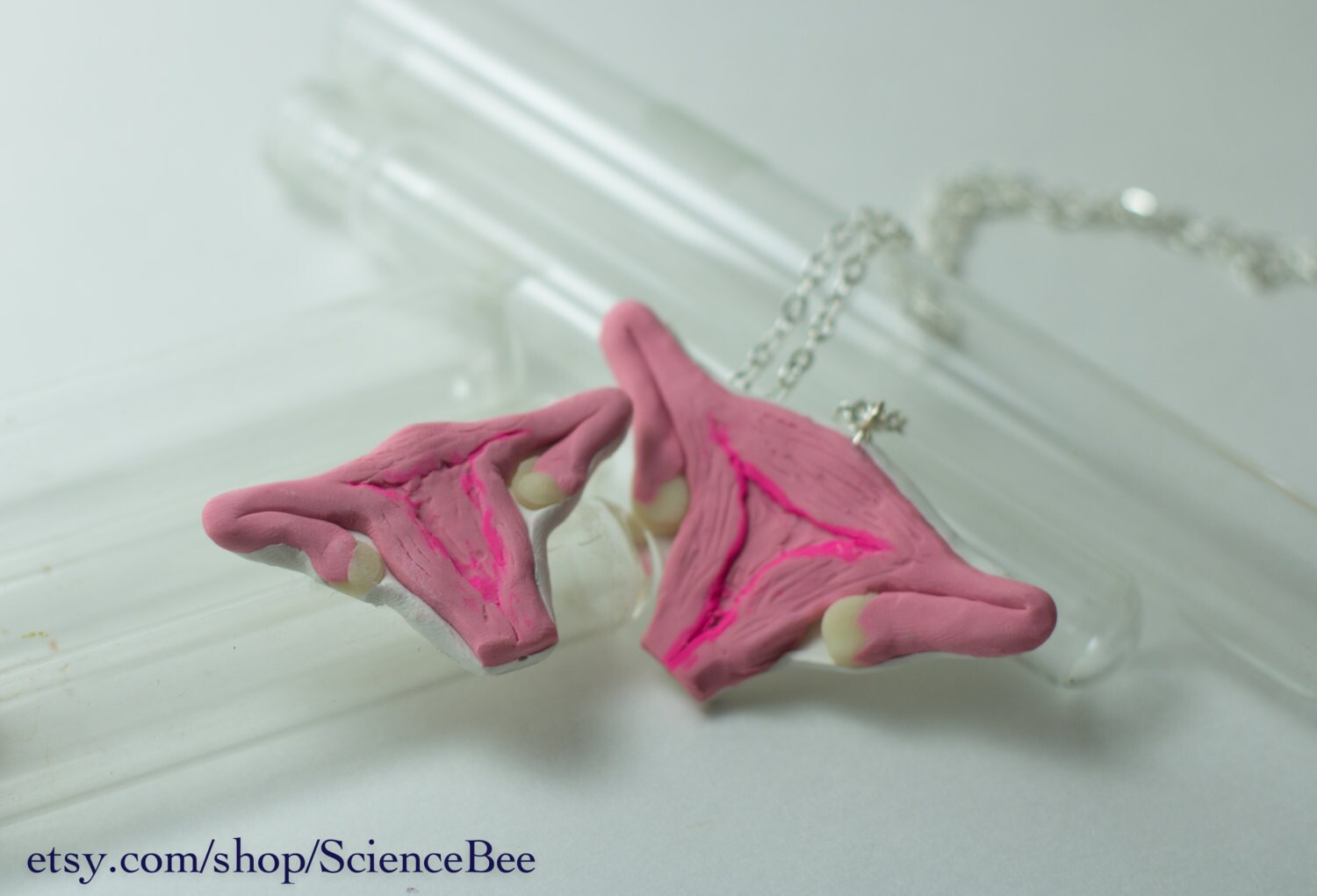 Uterus Brooch with Glow In the Dark Ovaries Bonus ScienceBee | Etsy