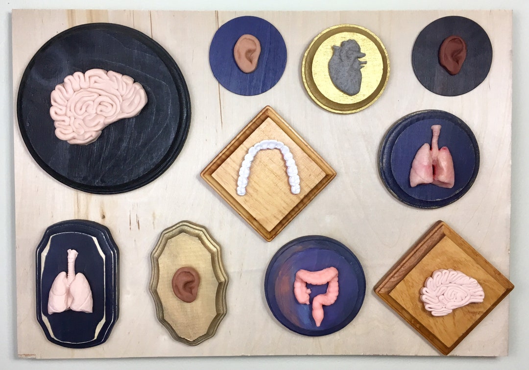 Organ Plaques Wall Art - Etsy