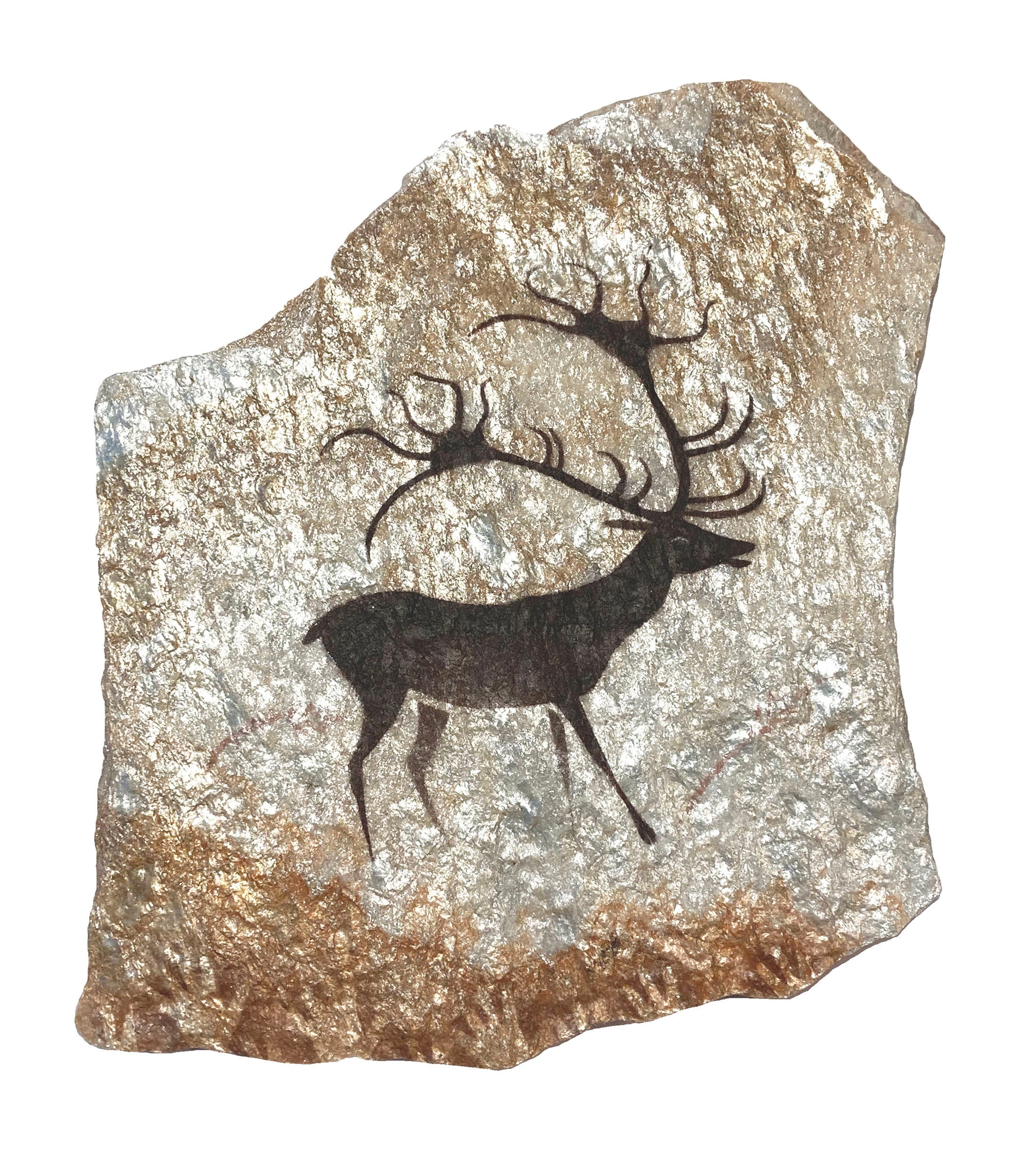 Prehistoric Cave Paintings Deer