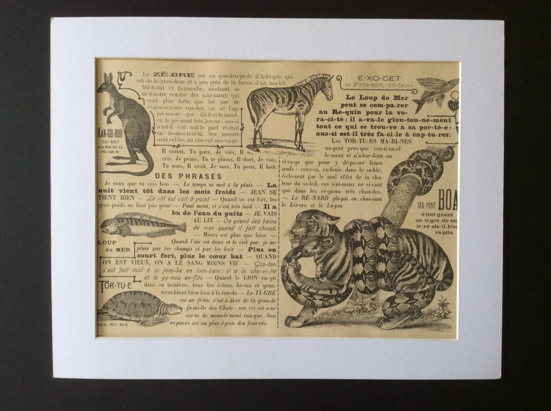 Antique 1890 ANIMAL ALPHABET Bat Tiger Two Sided Lithograph Giraffe ...