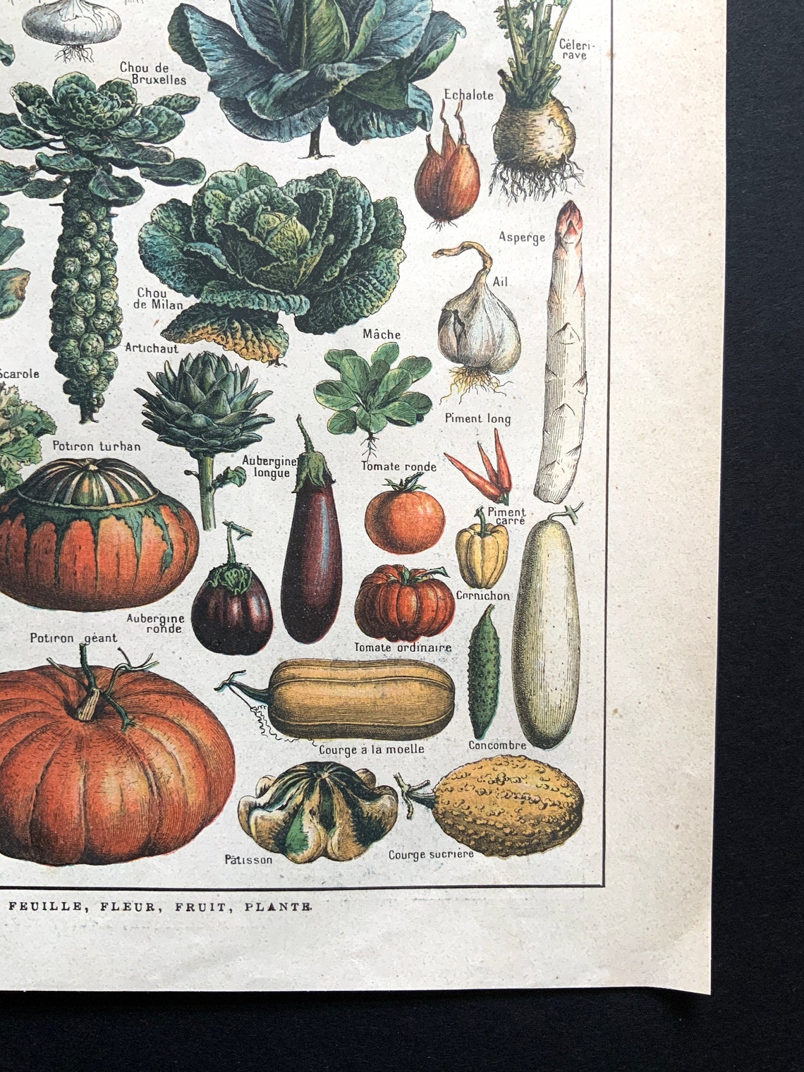 Vintage 1920s VEGETABLES Print French Bookplate Culinary Print Kitchen ...