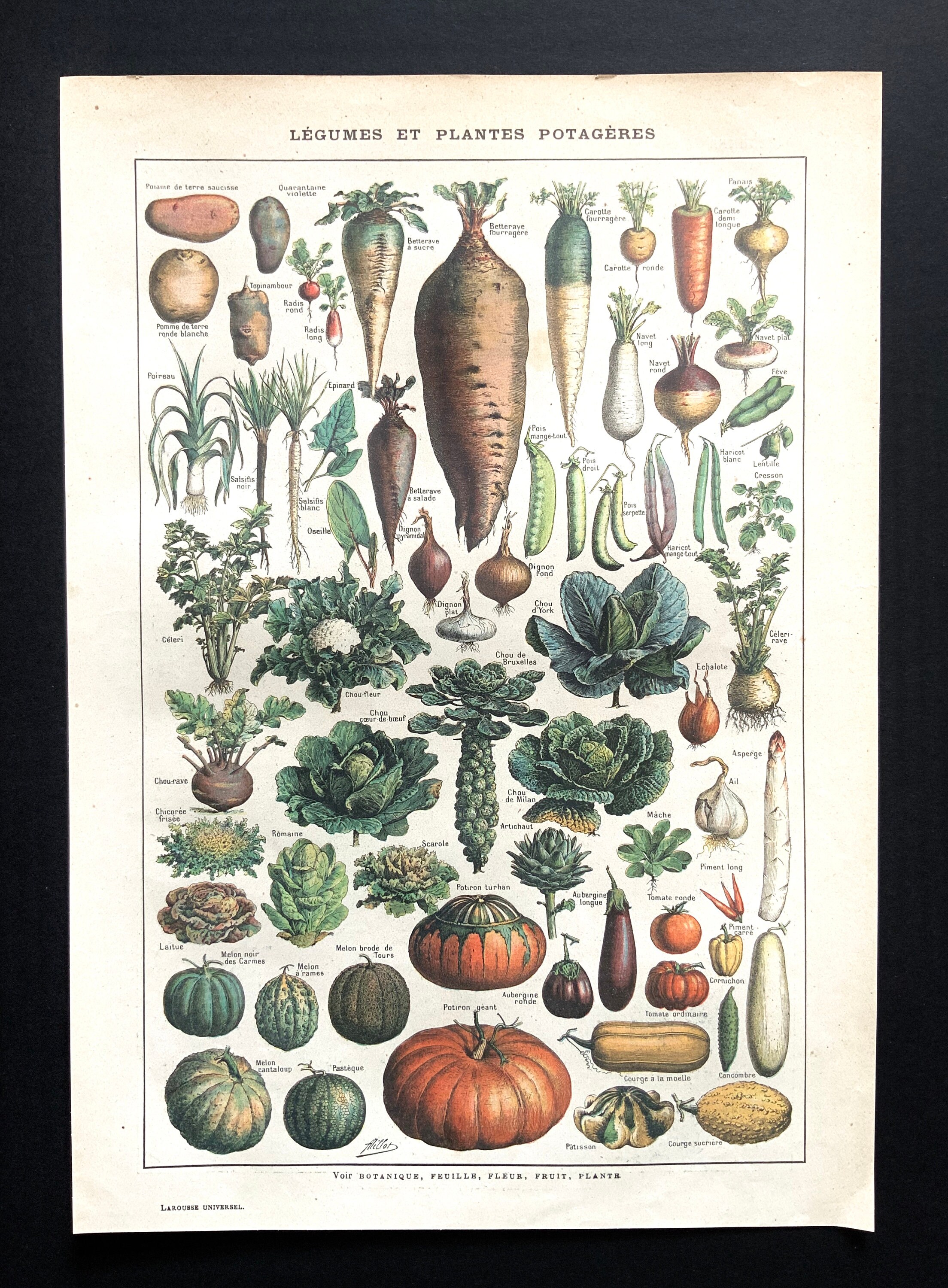 Vintage 1920s VEGETABLES Print French Bookplate Culinary Print Kitchen ...