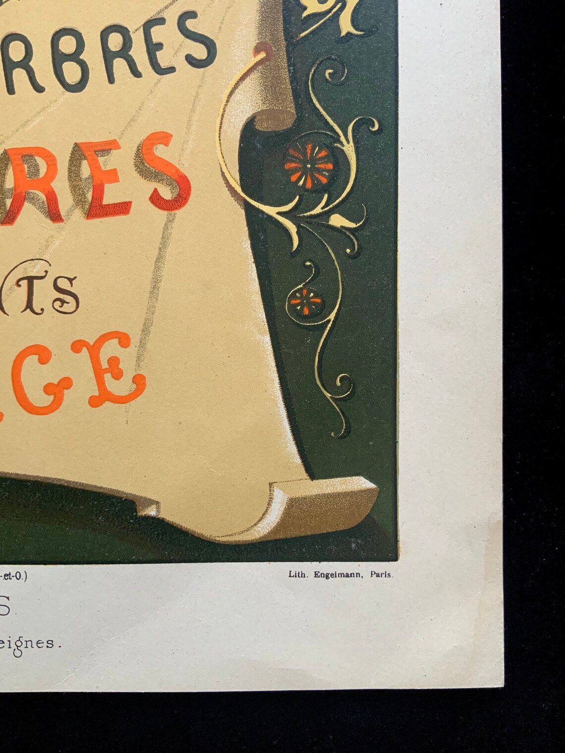 Rare 1900 TYPOGRAPHY ALPHABET Chromolithograph Antique Print | Etsy