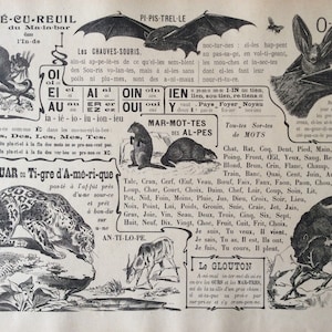 Antique 1890 ANIMAL ALPHABET Bat Tiger Two Sided Lithograph Giraffe ...