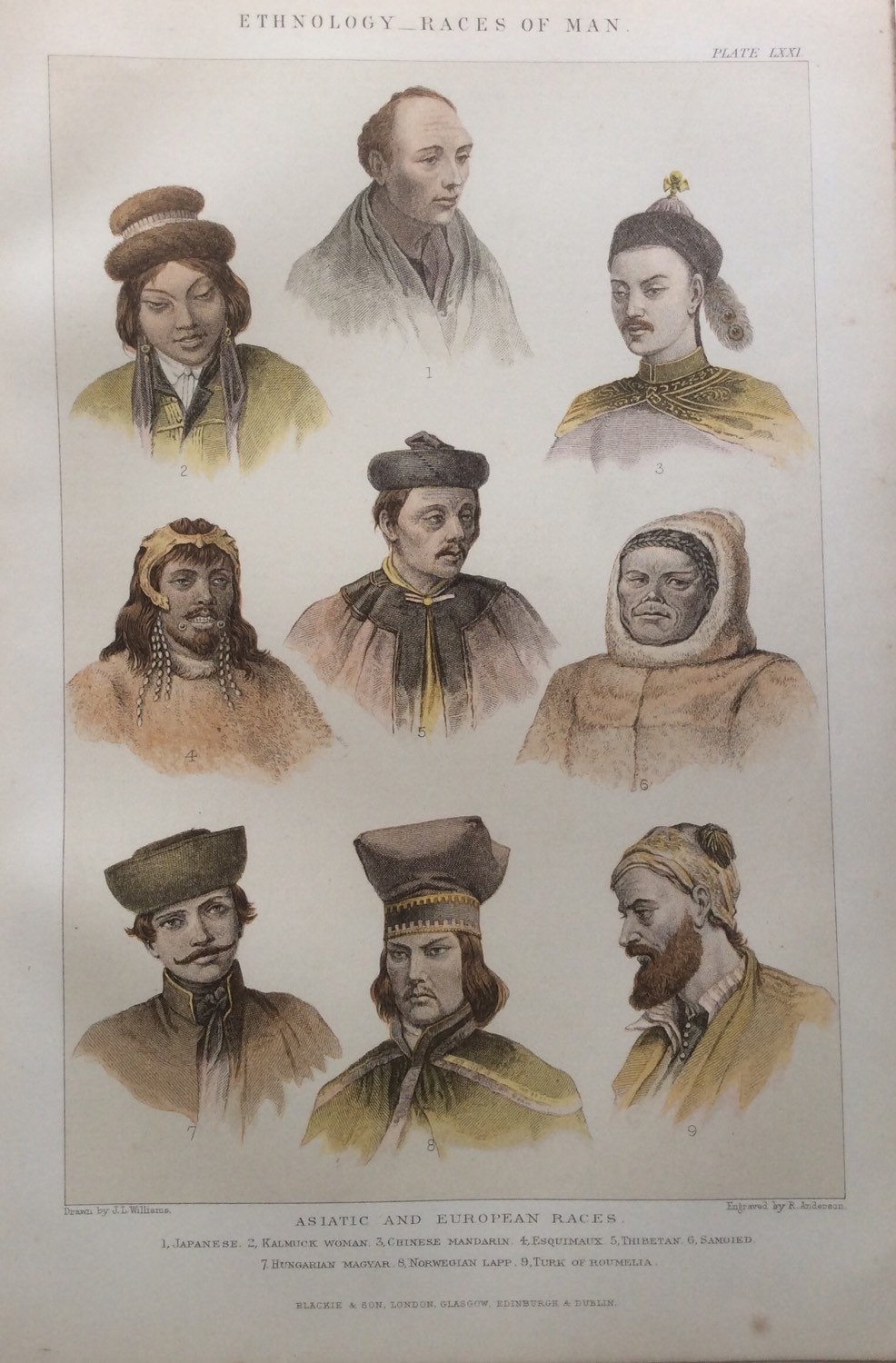 Antique Print 1890 Chromolithograph ETHNOLOGY Races of Man Victorian ...