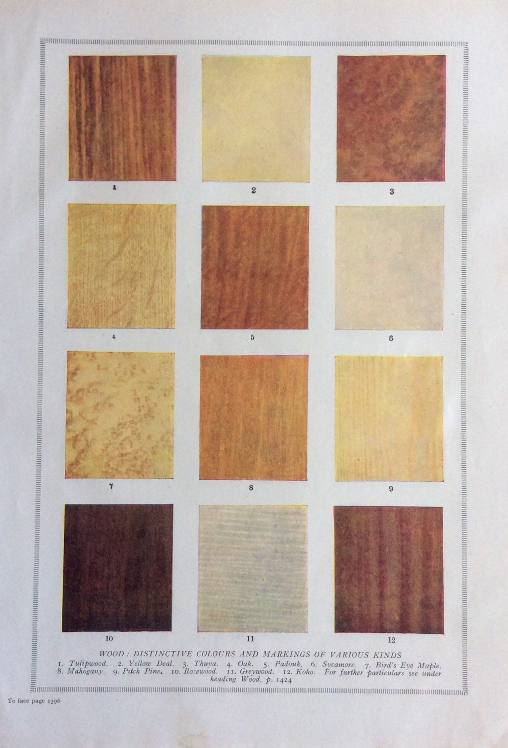 Vintage 1950s WOOD Grain Specimens Bookplate Print CARPENTRY Trees ...