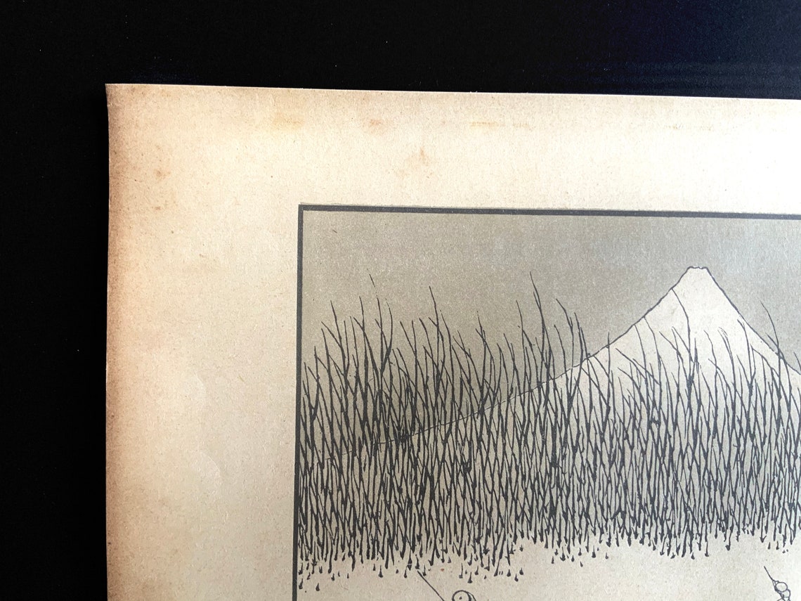 Rare Artistic Japan Lithograph 1889 Hokusai Japanese Art View - Etsy