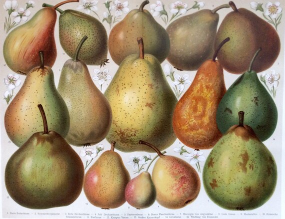 Art & Collectibles original lithograph from 1897 antique & vintage deko ...