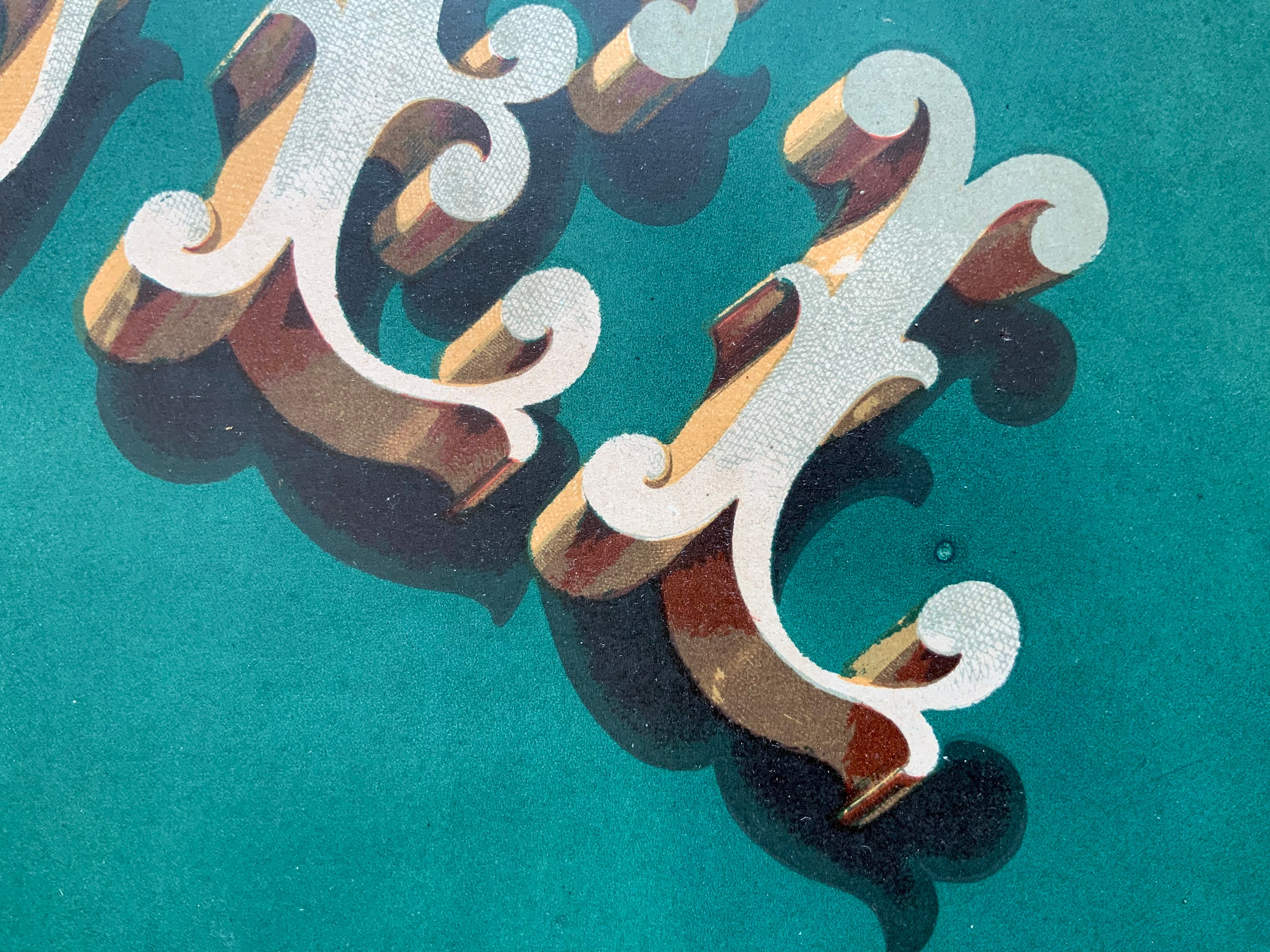 Rare 1850 TYPOGRAPHY Chromolithograph French Antique Print Folio Plate ...