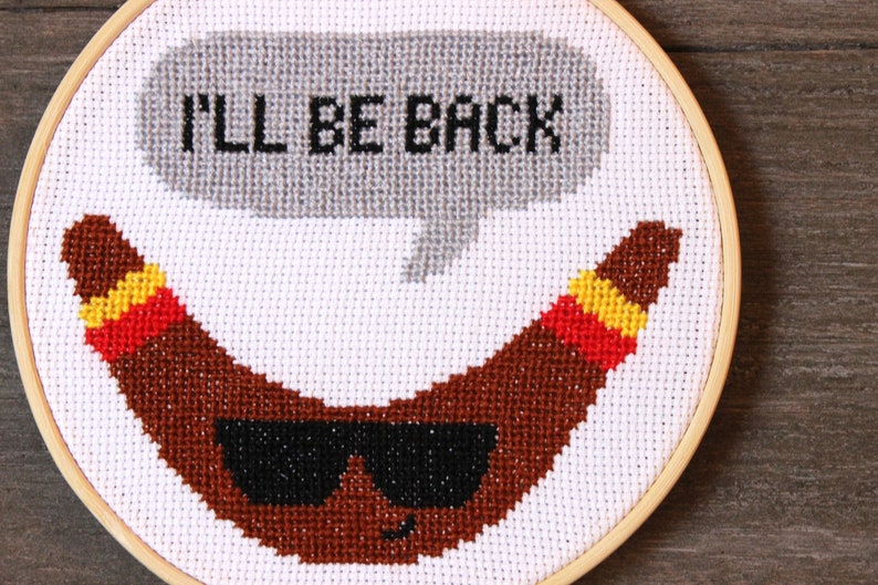 Boomerang Cross Stitch, Funny Framed Embroidery Hoop Art - Etsy